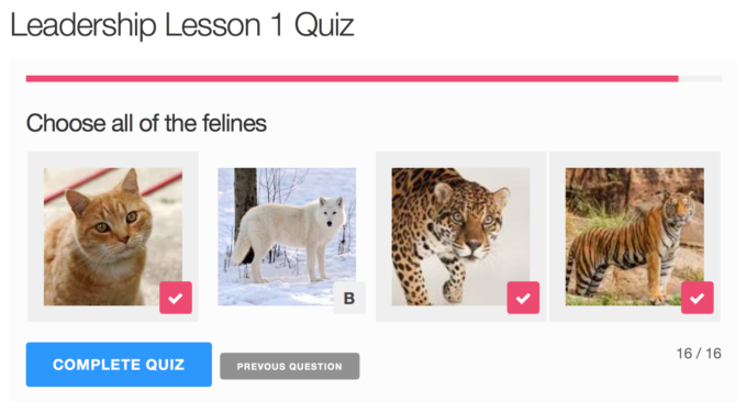 Picture multiple choice multiple correct answers question type - LifterLMS
