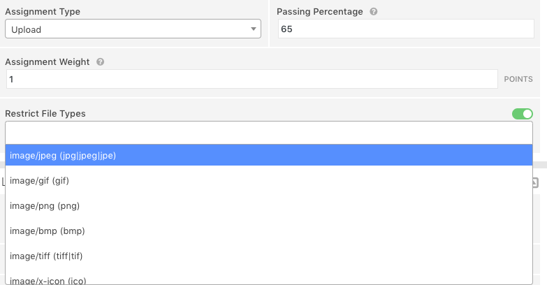 Assignment Types and Options (Task, Essay, Upload) - LifterLMS