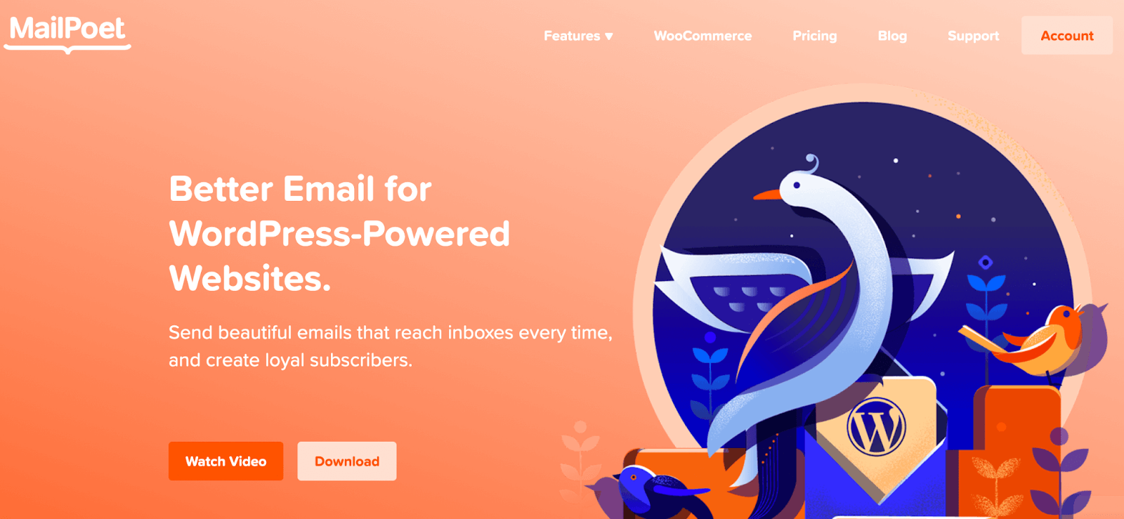 10 Essential Content Creation Tools for WordPress Course Creators - LifterLMS