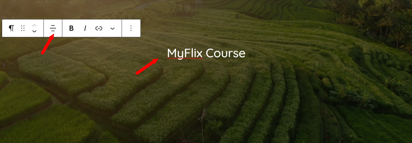 How to Build a NETFLIX Clone Website with WordPress