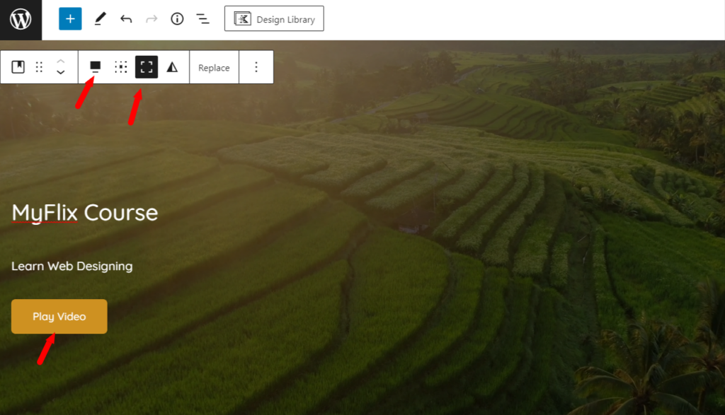 How to Build a NETFLIX Clone Website with WordPress