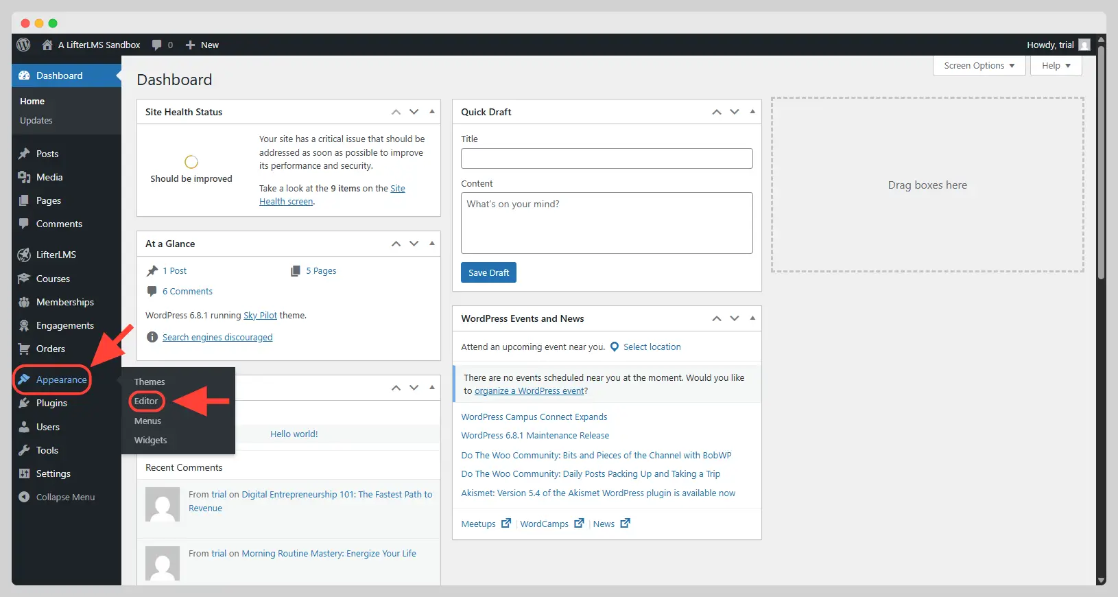 Sky Pilot Theme Getting Started Walkthrough - LifterLMS