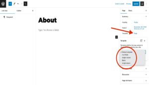 Sky Pilot Theme Getting Started Walkthrough - LifterLMS