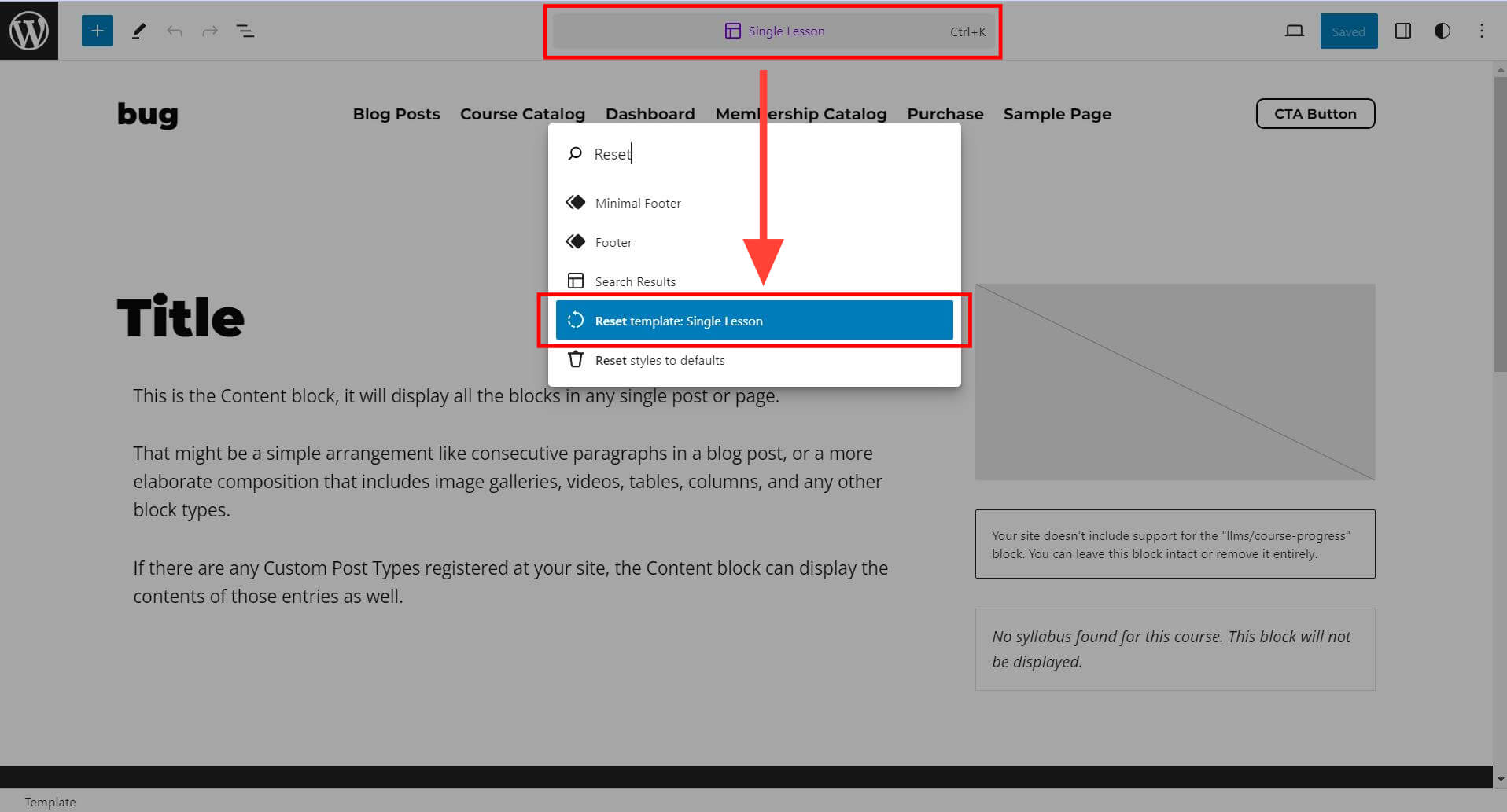 How to Reset Sky Pilot Theme Settings to Defaults - LifterLMS